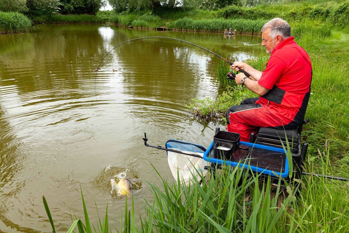 How to Set Up a Feeder Rod: A Step-by-Step Guide