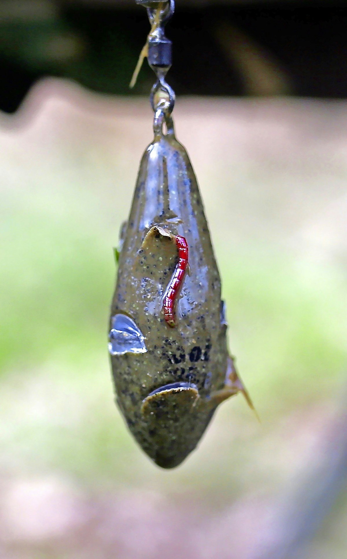 How to fish for carp in the silt | Angling Times