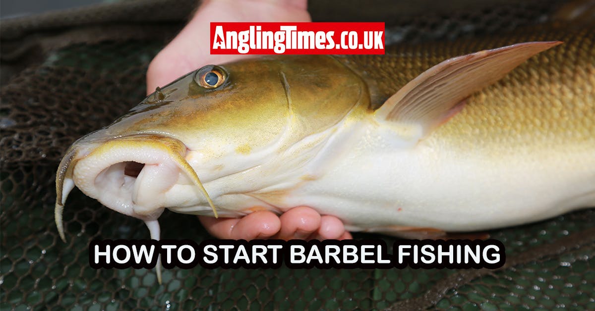 Beginner’s guide: Starting barbel fishing