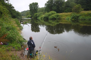 Fishing holidays: Where to stay and fish on the River Severn | Angling ...