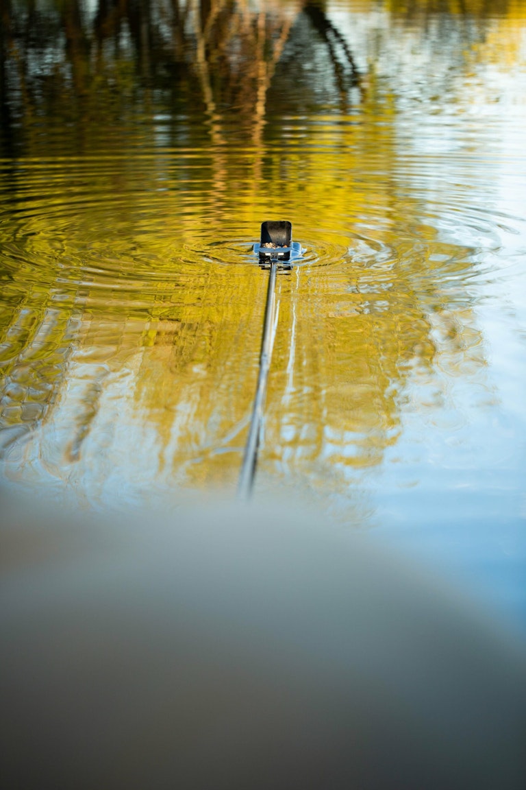 The best baiting pole tips for carp fishing – Oli Davies | Angling Times