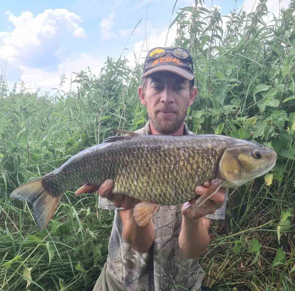 Huge chub caught with a bubble float | Angling Times