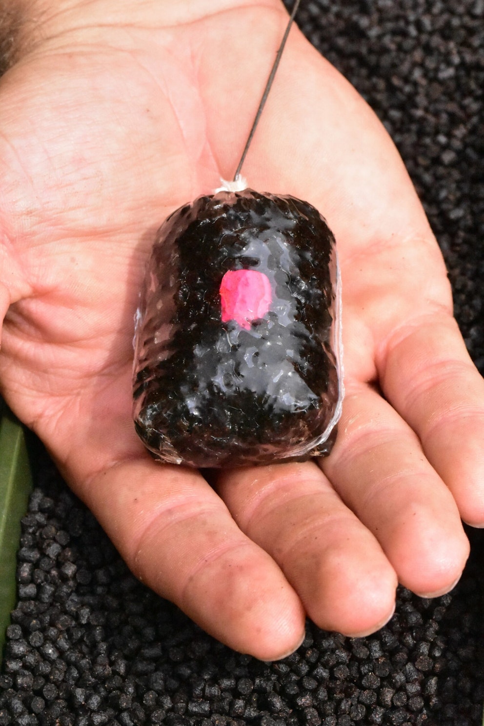 Solid Vs mesh PVA bags for carp fishing – James Barry | Angling Times
