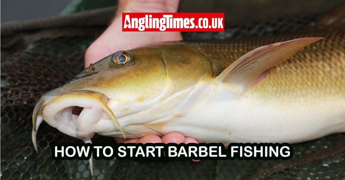 Beginner’s guide: Starting barbel fishing tackle & river tips
