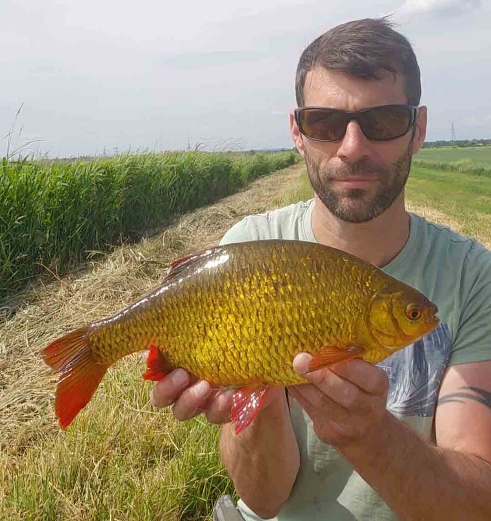 Big Fenland rudd the result of four miles walking and fishing | Angling ...