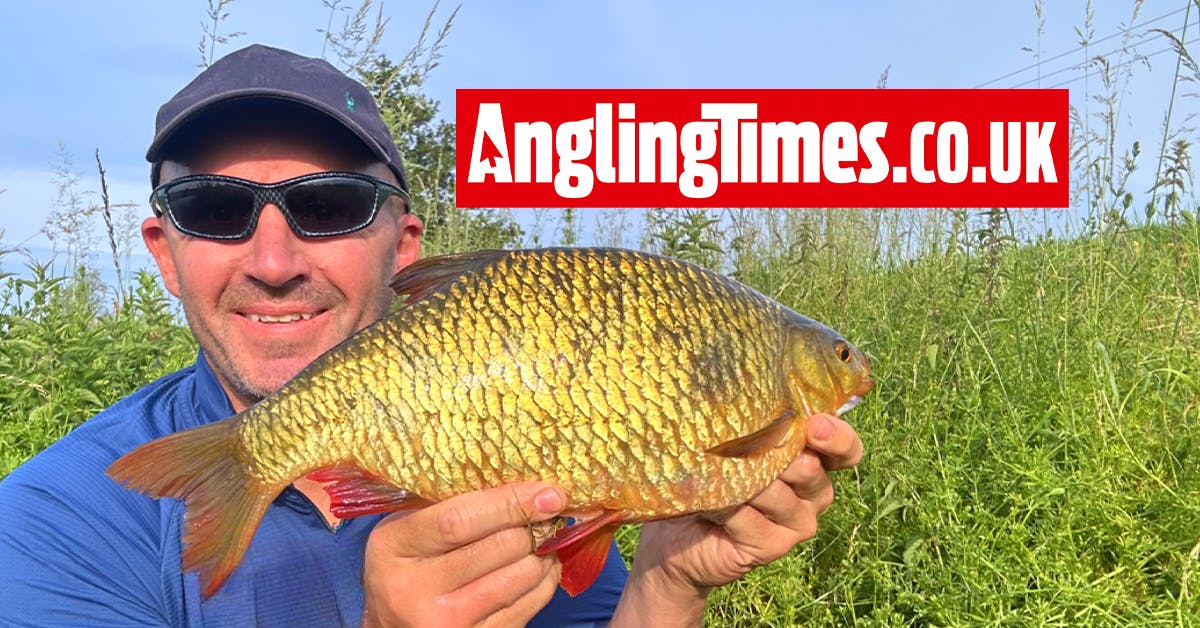 Big Fenland rudd takes trotted bait | Angling Times