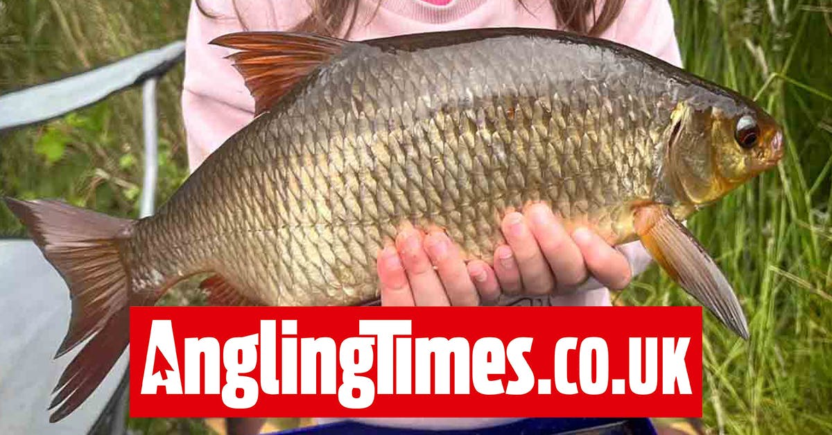 Four-year-old girl catches massive Scottish roach | Angling Times