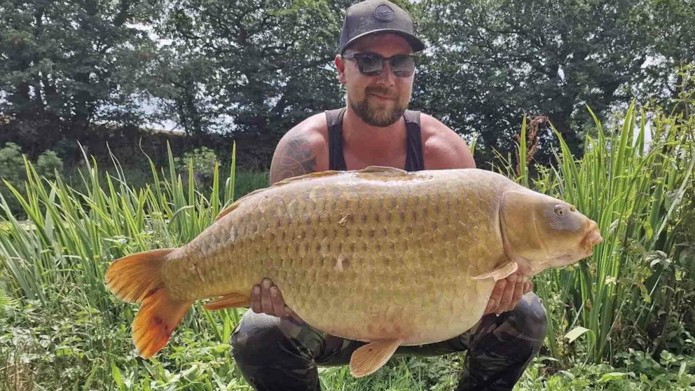 Cornwall’s biggest carp is monster ghostie | Angling Times