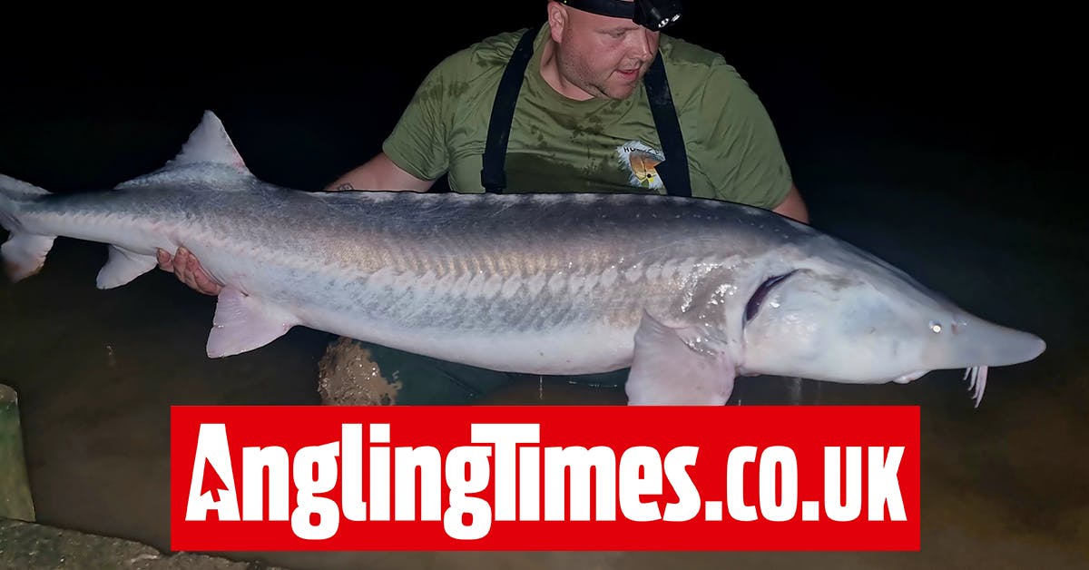 Angler says enormous 150lb UK sturgeon was ‘like hooking a steam train ...