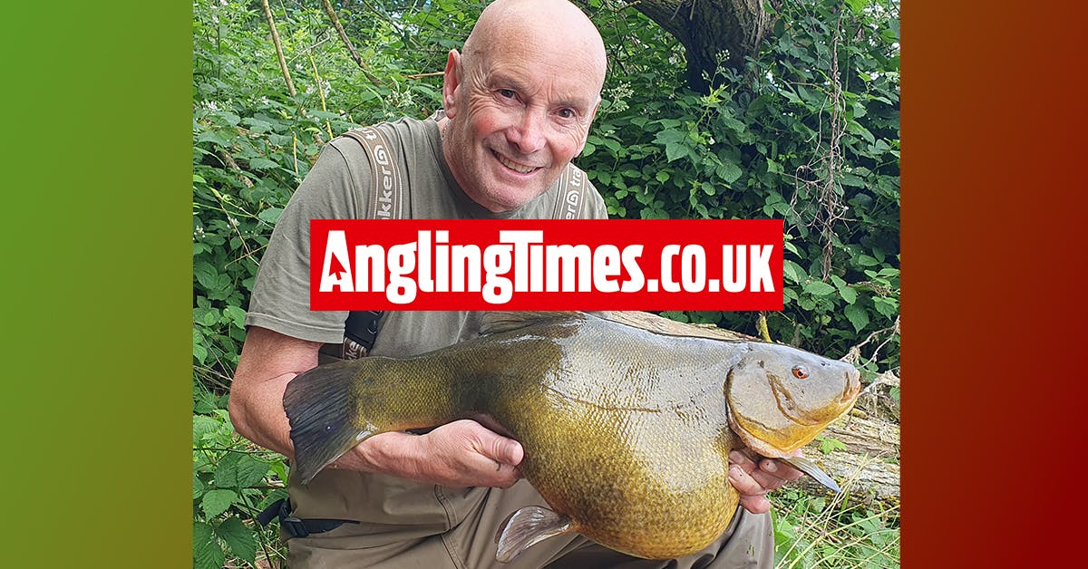Angler banks biggest tench ever caught by design in Britain | Angling Times