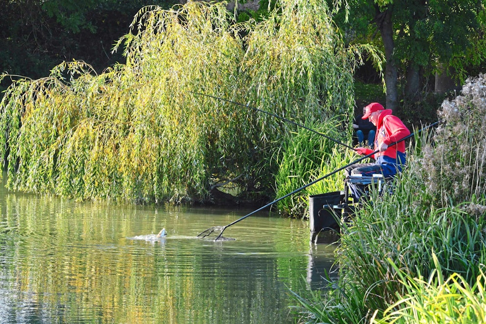 The best fishing lakes for beginners | Angling Times