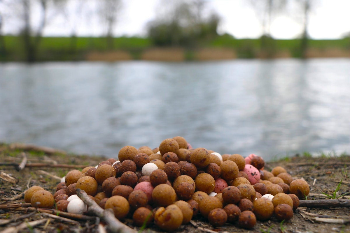 The best boilies for carp fishing | Angling Times