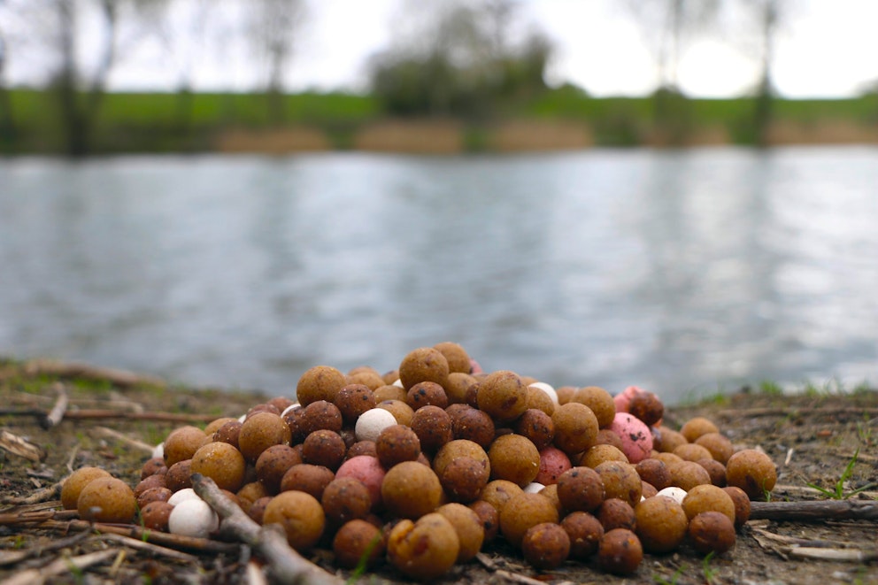 The best boilies for carp fishing | Angling Times