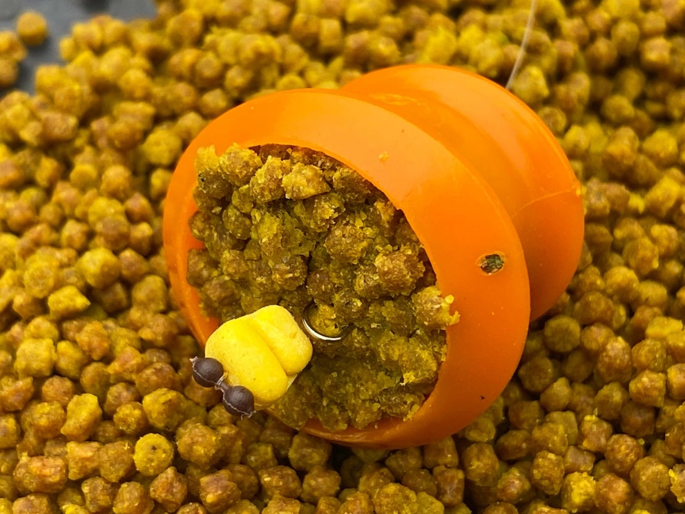 How to fish the pellet cone for crucians | Angling Times