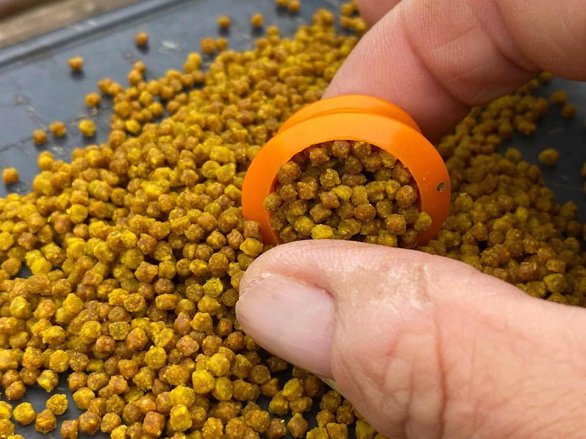 How to fish the pellet cone for crucians | Angling Times