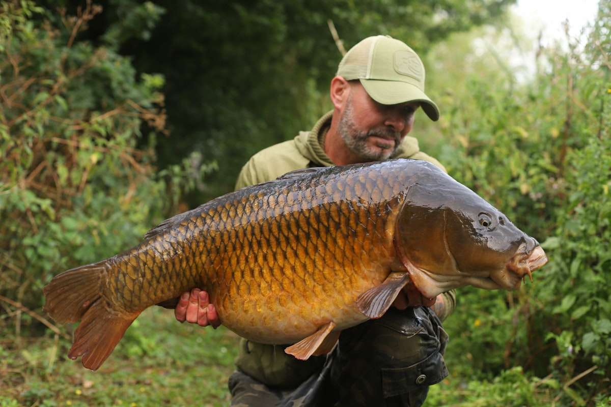 Angler reunited with amazing carp he last caught over 30 years ago ...