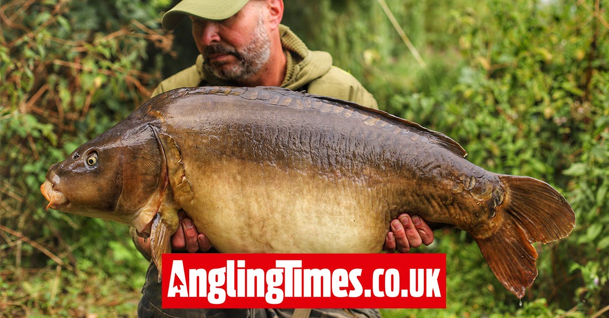 Angler reunited with amazing carp he last caught over 30 years ago ...