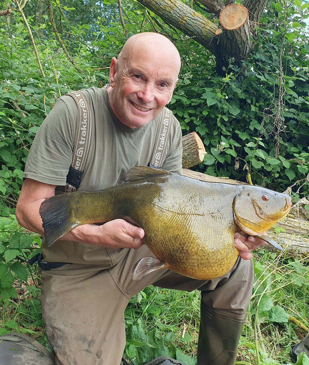 Angler banks biggest tench ever caught by design in Britain | Angling Times