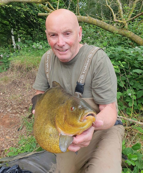 Angler banks biggest tench ever caught by design in Britain | Angling Times