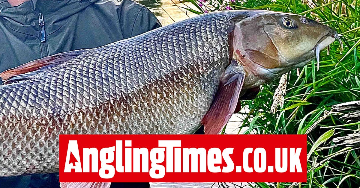 Local angler catches new river record barbel on the Derwent | Angling Times