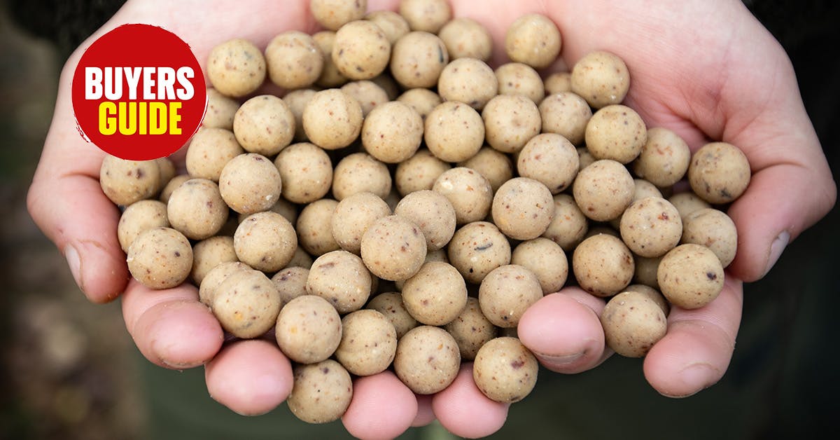 The best boilies for carp fishing | Angling Times