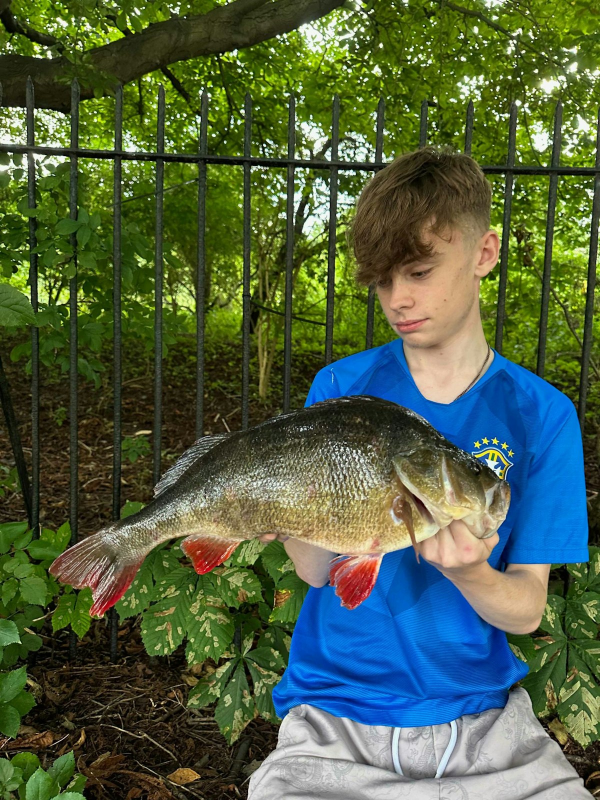 Teenager lands one of Britain’s biggest-ever river perch | Angling Times