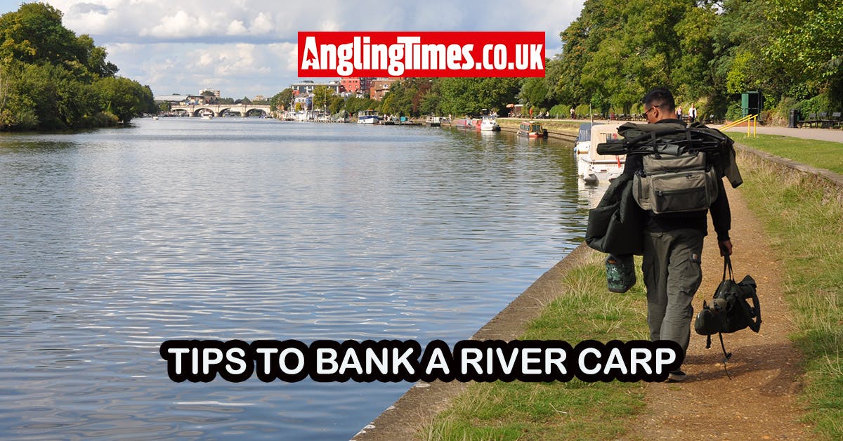 Tips | Advice | Angling Times