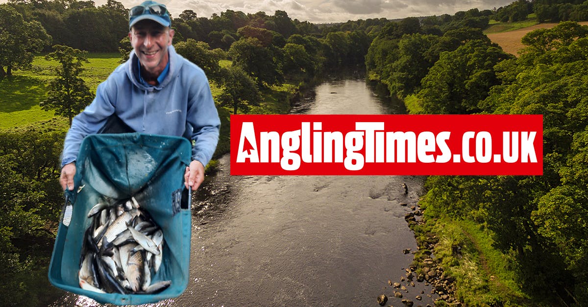 100lb-plus haul of chub and dace taken in remarkable river fishing ...