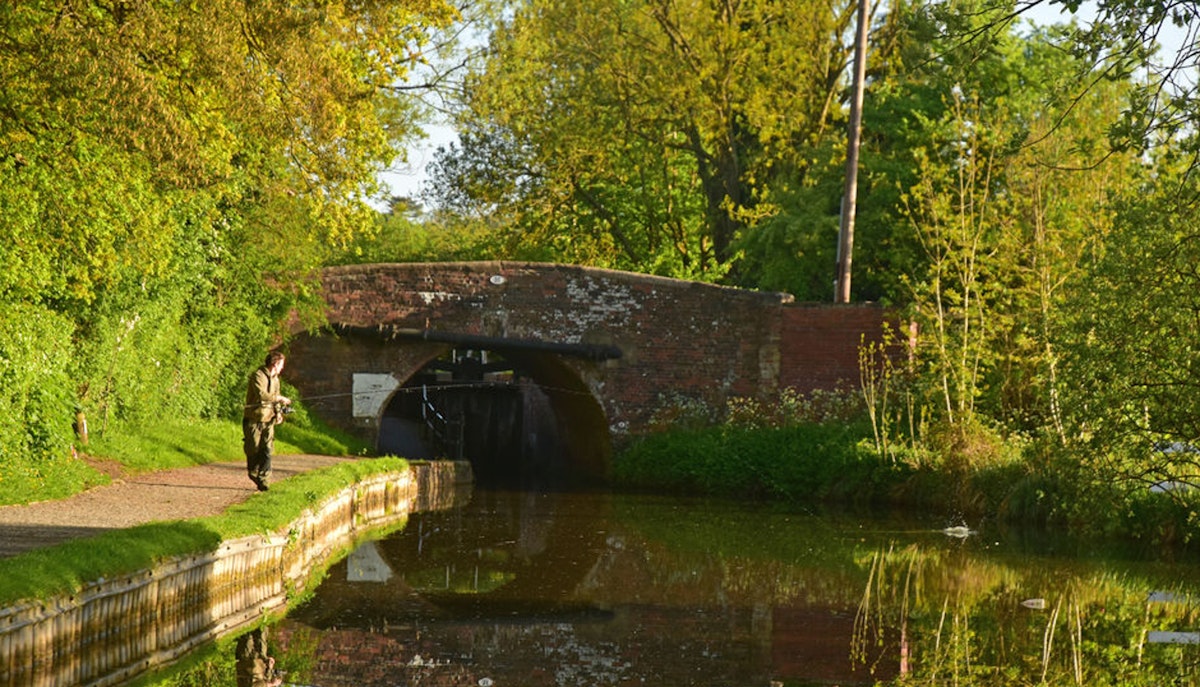 How to catch canal carp | Angling Times
