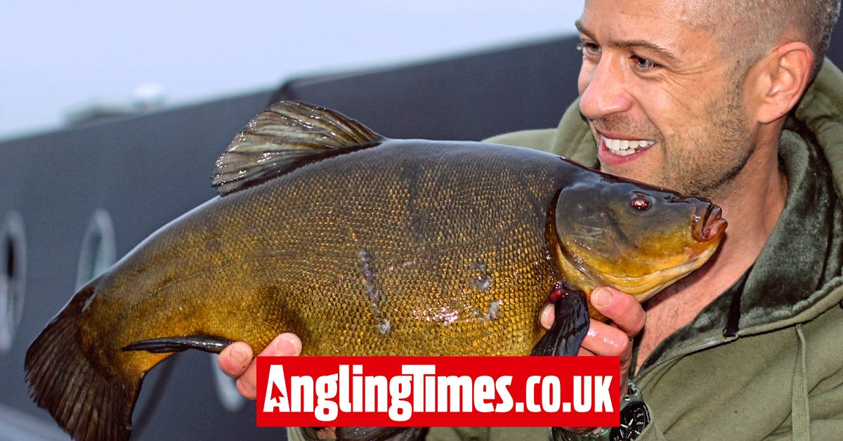 Two anglers report big river tench from the Thames | Angling Times
