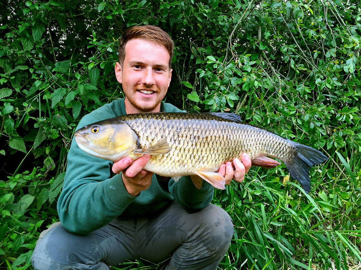 Fishing Holidays: Where to stay and fish on the Hampshire Avon and ...