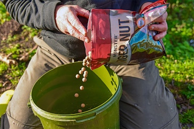 The best boilies for carp fishing | Angling Times