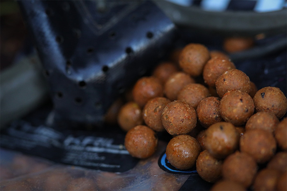 The best boilies for carp fishing | Angling Times