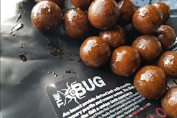 The best boilies for carp fishing | Angling Times