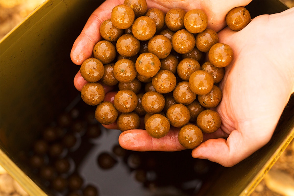 The best boilies for carp fishing | Angling Times