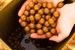 The best boilies for carp fishing | Angling Times