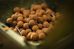 The best boilies for carp fishing | Angling Times