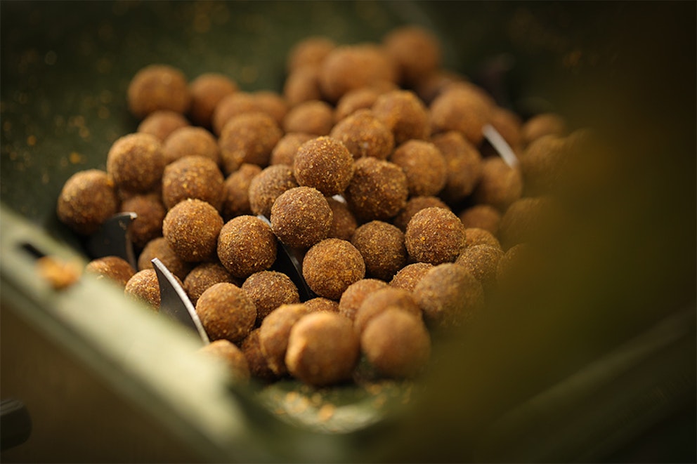 The best boilies for carp fishing | Angling Times