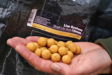 The best boilies for carp fishing | Angling Times
