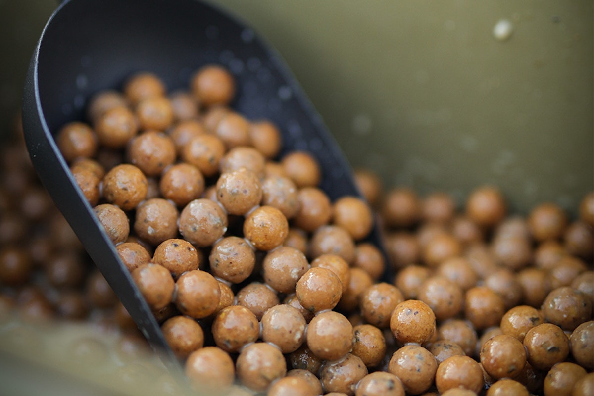 The best boilies for carp fishing | Angling Times