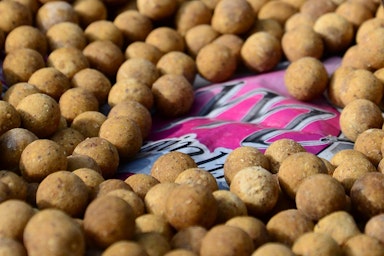 The best boilies for carp fishing | Angling Times