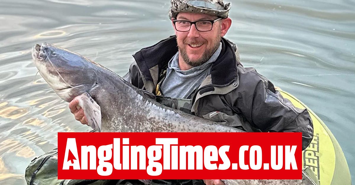 Mega haul of catfish taken on belly boat and fly tactics | Angling Times