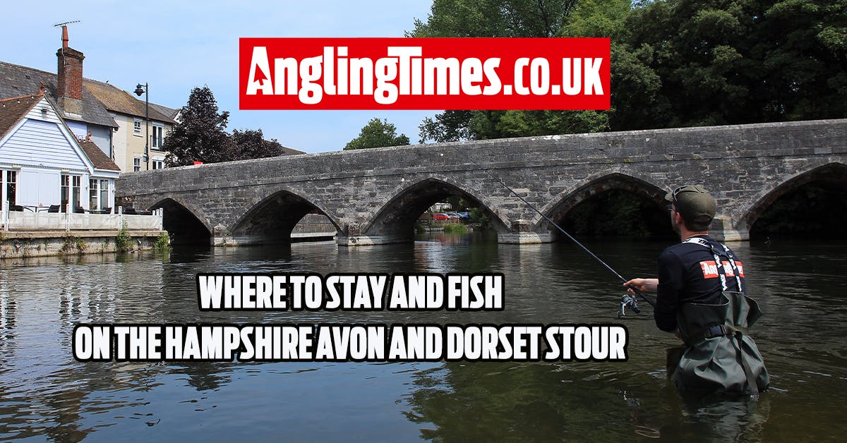 Fishing Holidays: Where to stay and fish on the Hampshire Avon and ...
