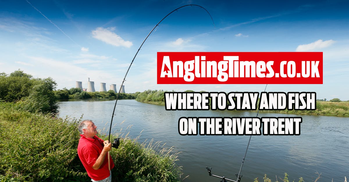 Fishing holidays: Where to stay and fish on the River Trent | Angling Times