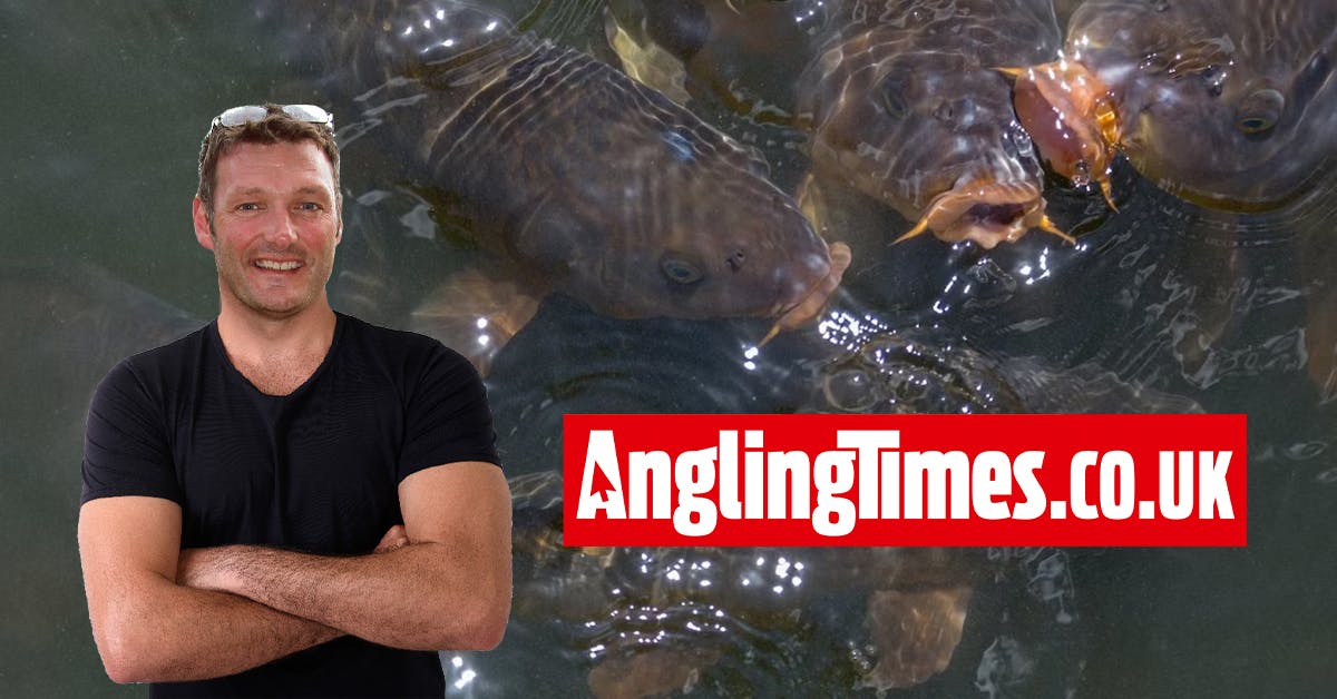 When it comes to fishing, how much is too much? – Rob Hughes | Angling ...