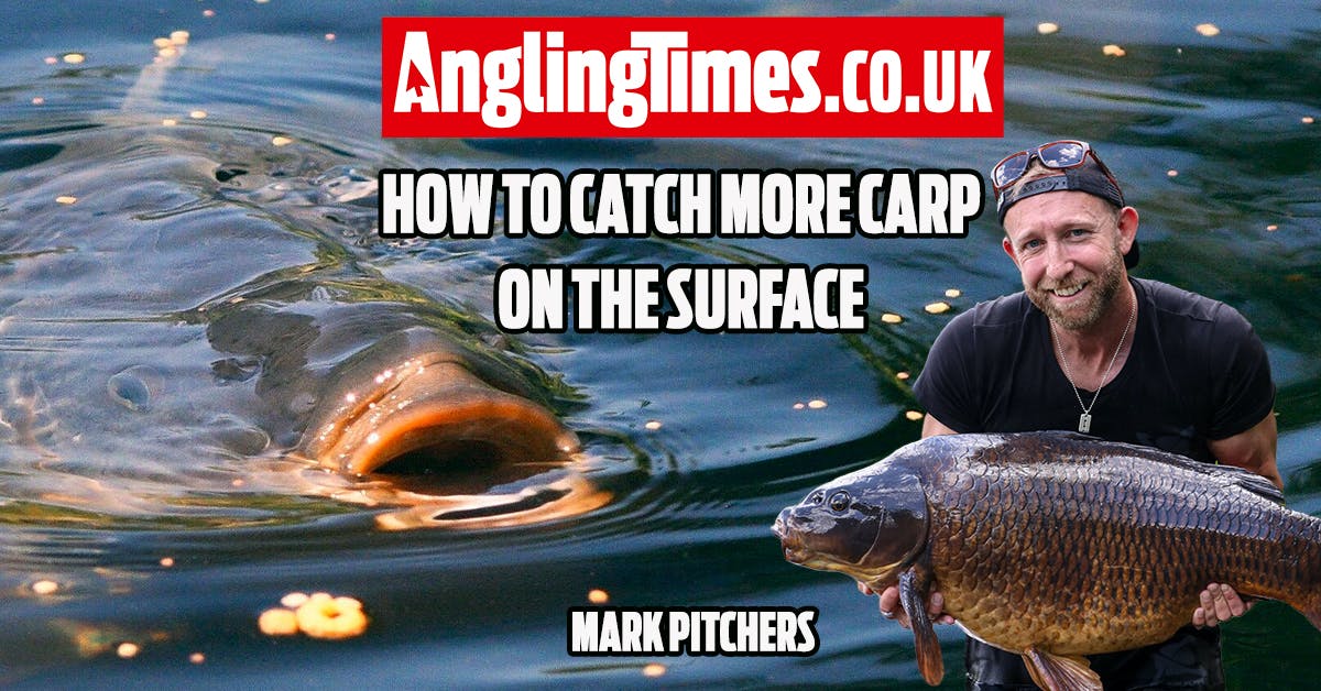 Improve your surface fishing – Mark Pitchers | Angling Times