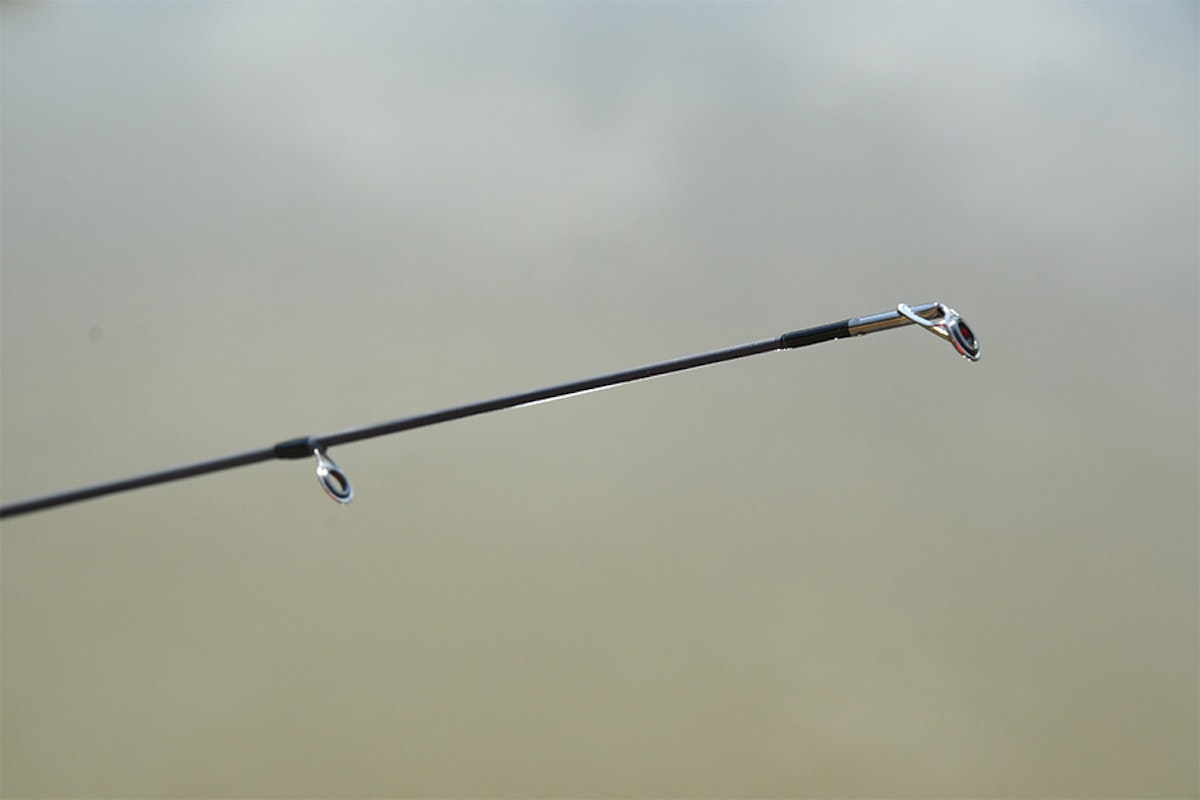 Best tench rods for 2025