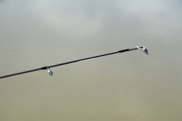 Best tench rods for 2026