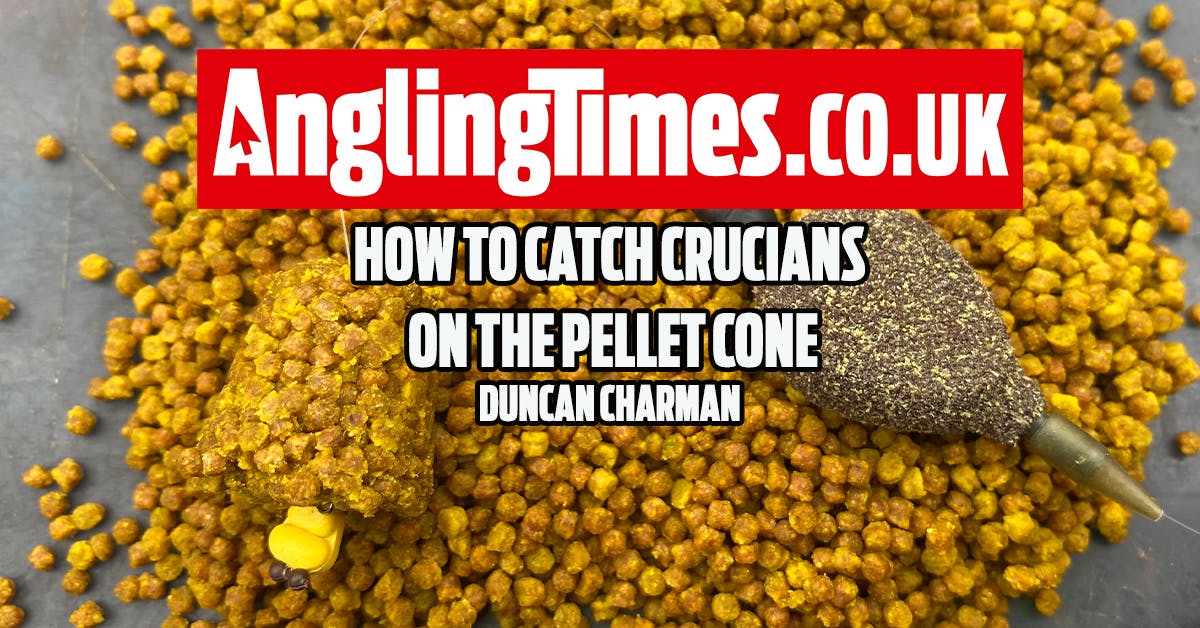How to fish the pellet cone for crucians | Angling Times