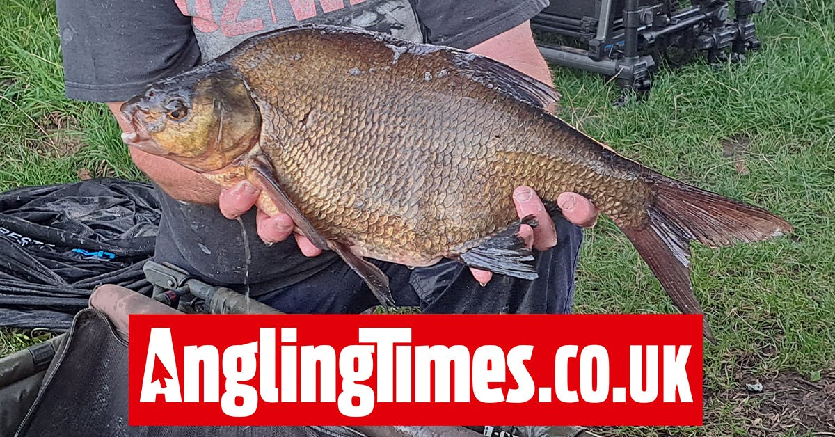 170lb of bream in an afternoon trip to angling club lake | Angling Times